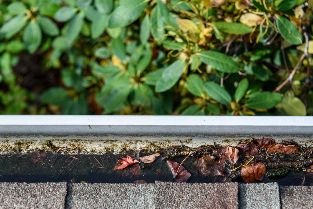 Common Gutter Problems in South Carolina - Holy City Gutterworks