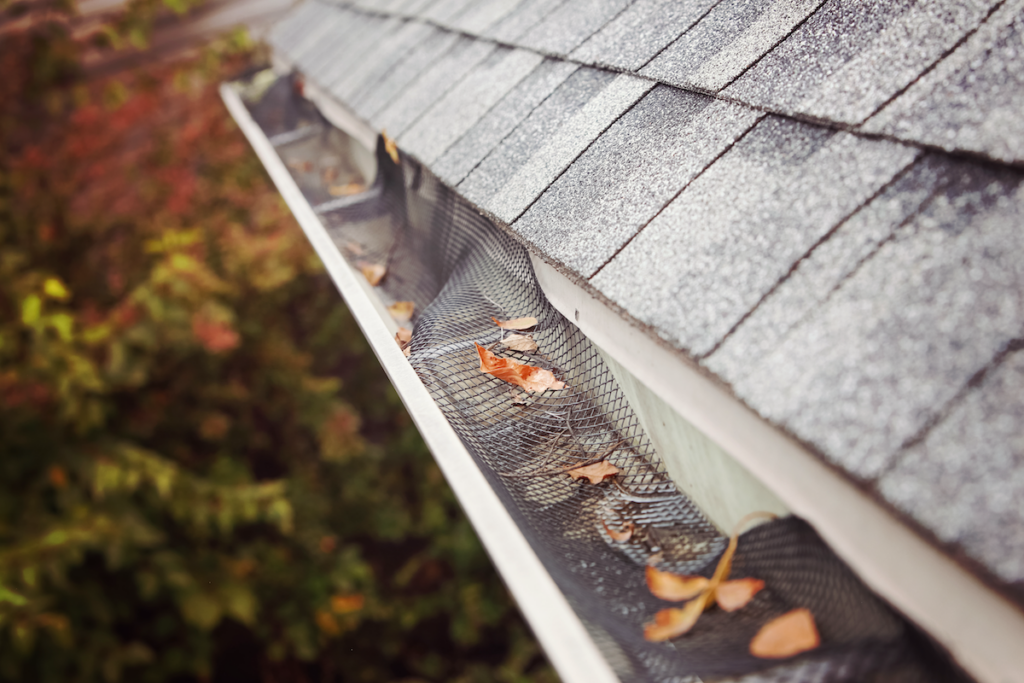 Are Gutter Guards Worth It? - Holy City Gutterworks